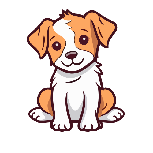 Grooming Services - Groom and Stay